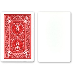 Ragil Magical Card Shop: Playing Card